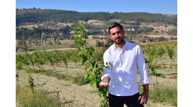 İstanbul'dan kaçıp ipek böceği üretimine başladı - Turgutlu Yankı