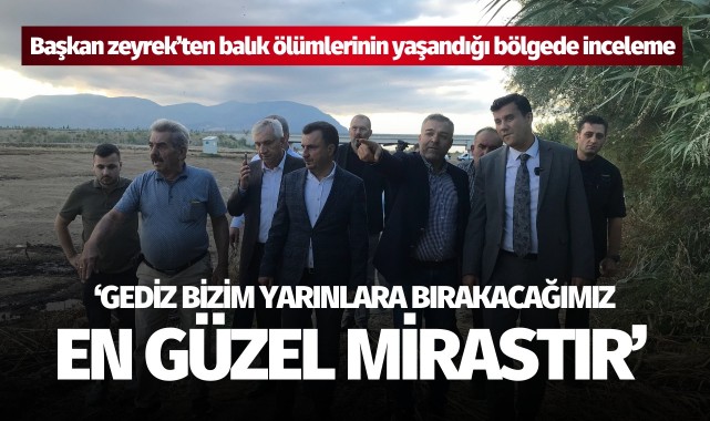 Başkan Zeyrek'ten balık ölümlerinin olduğu bölgede inceleme - Turgutlu Yankı
